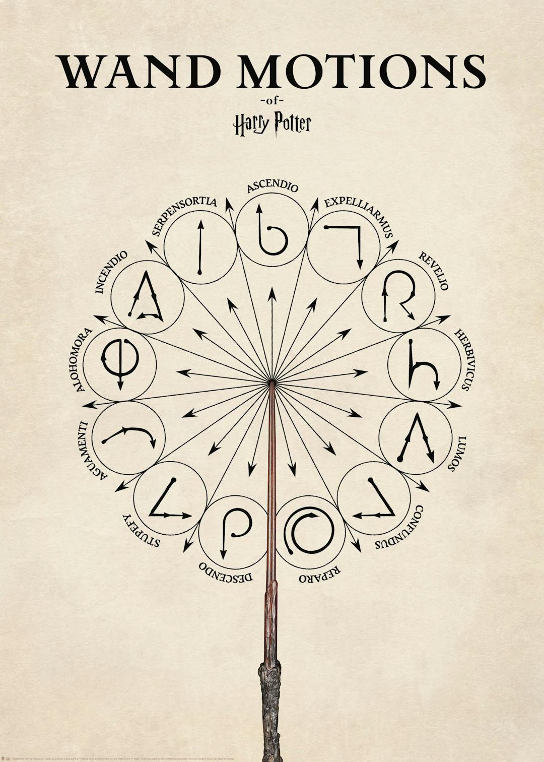 Buy Harry Potter™ posters online - Posterstore.ca