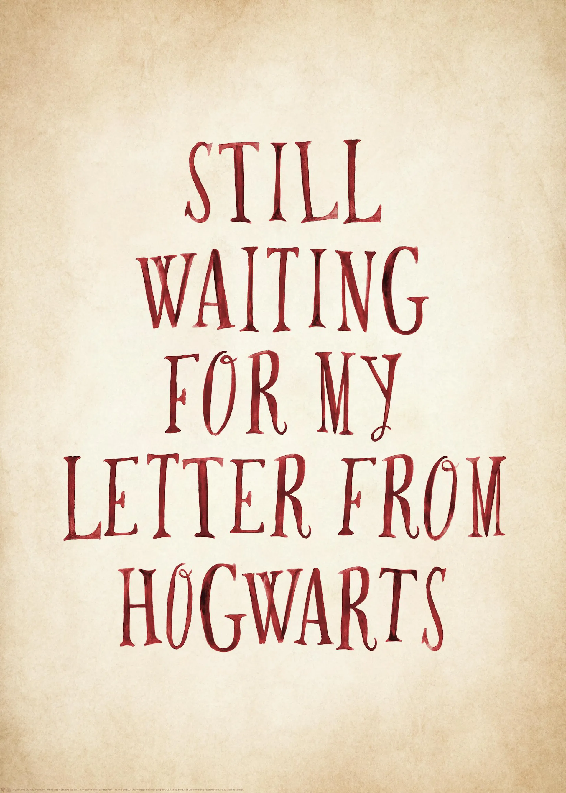 Harry Potter™ - Hogwarts School poster afdelingen Zweinstein | Poster ...