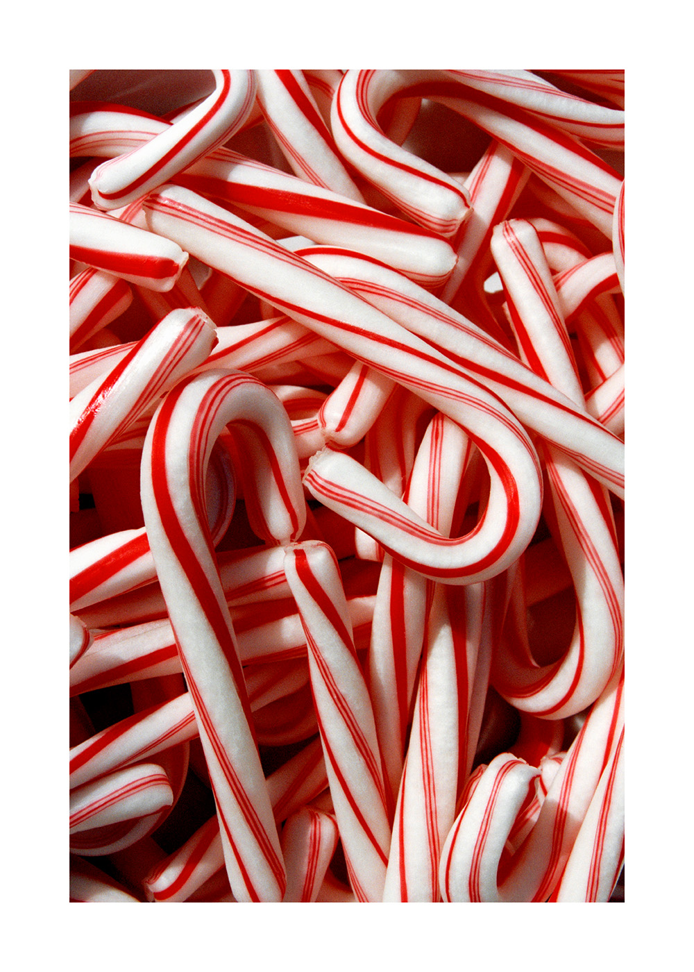 Candy Canes poster med julgodis motiv | Poster Store SE