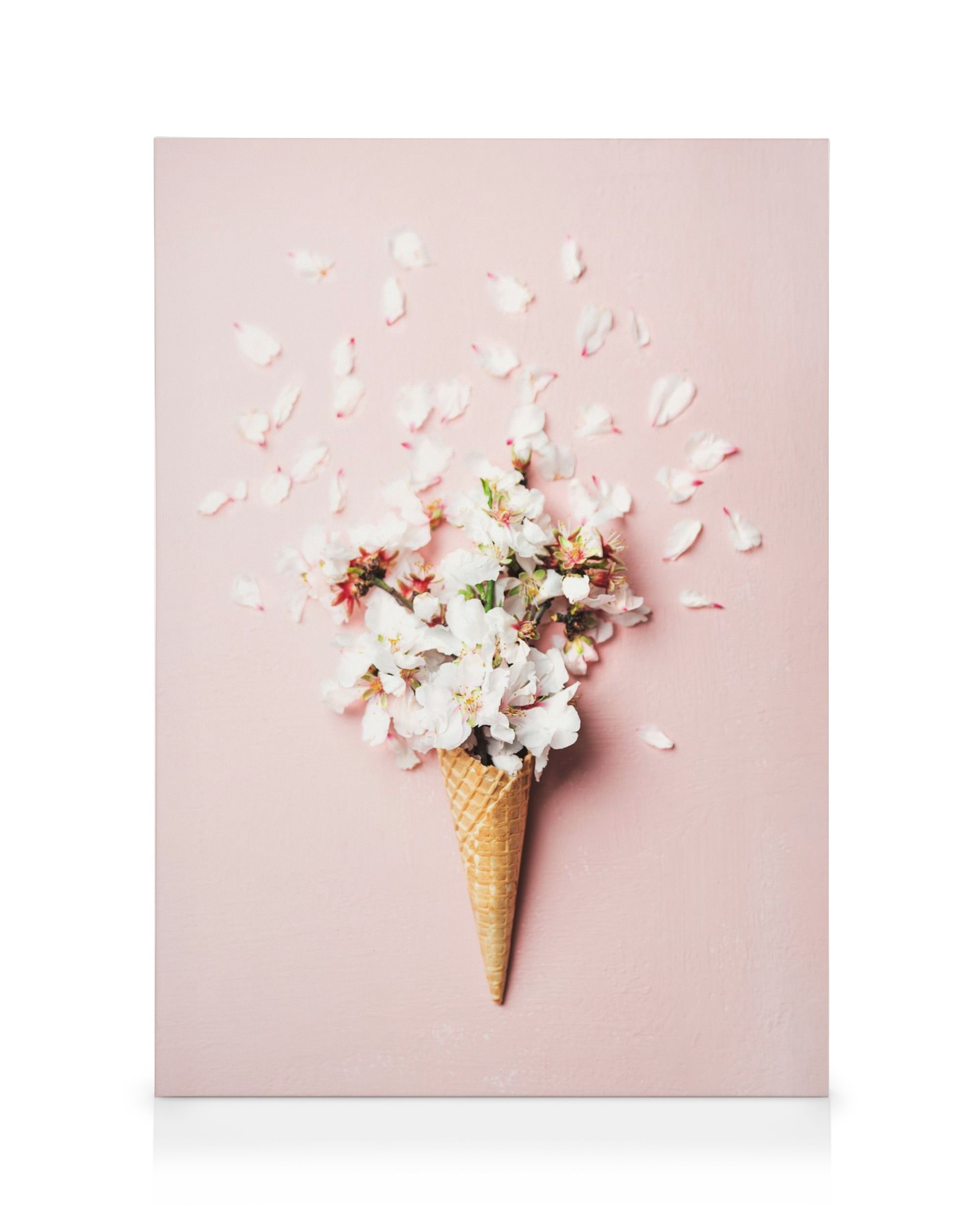 Pink Flower Cone Poster - Delicate Floral Wall Art | Posterstore