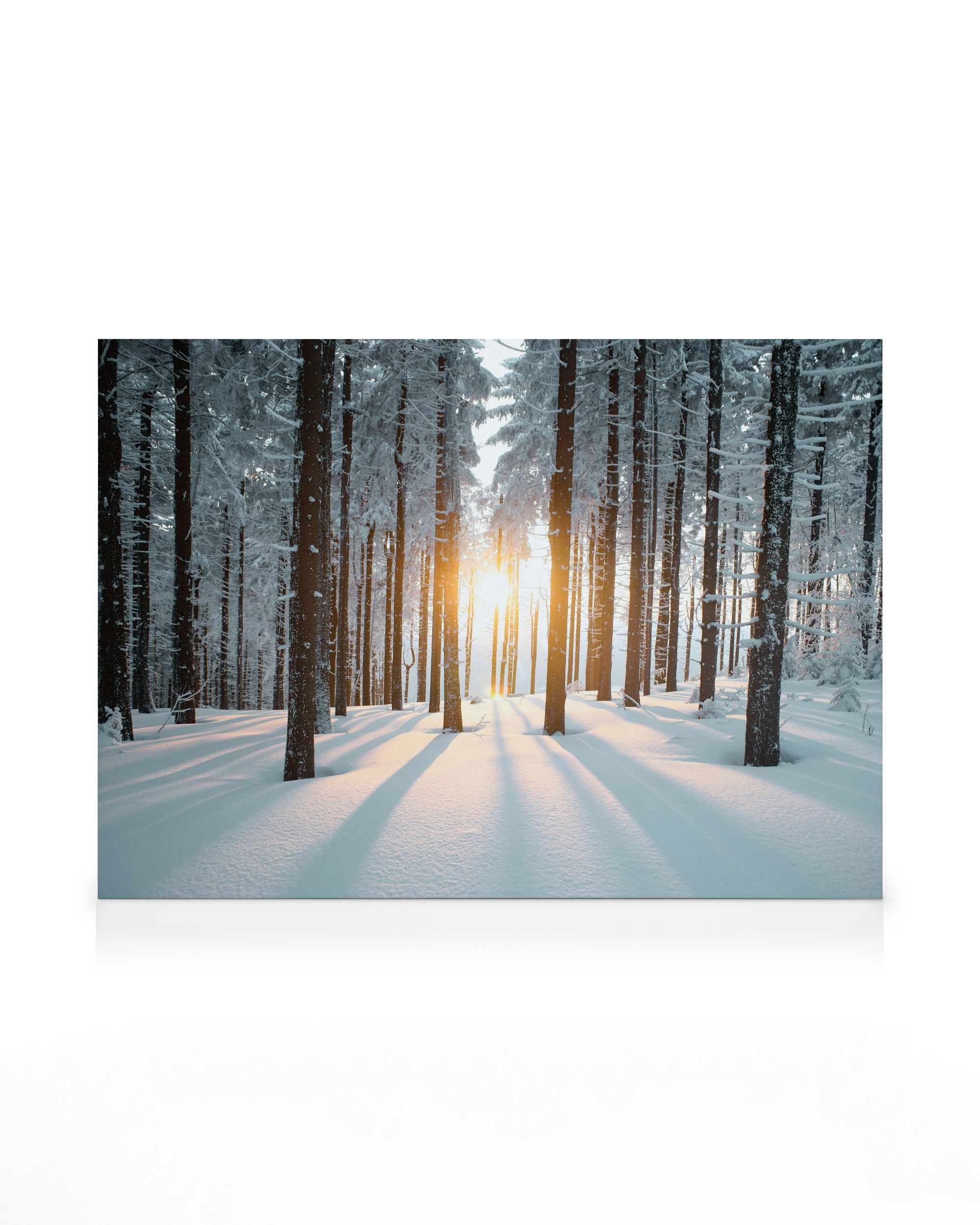 Sun Beam Forest Toile forêt enneigée hivernale | Poster Store CA