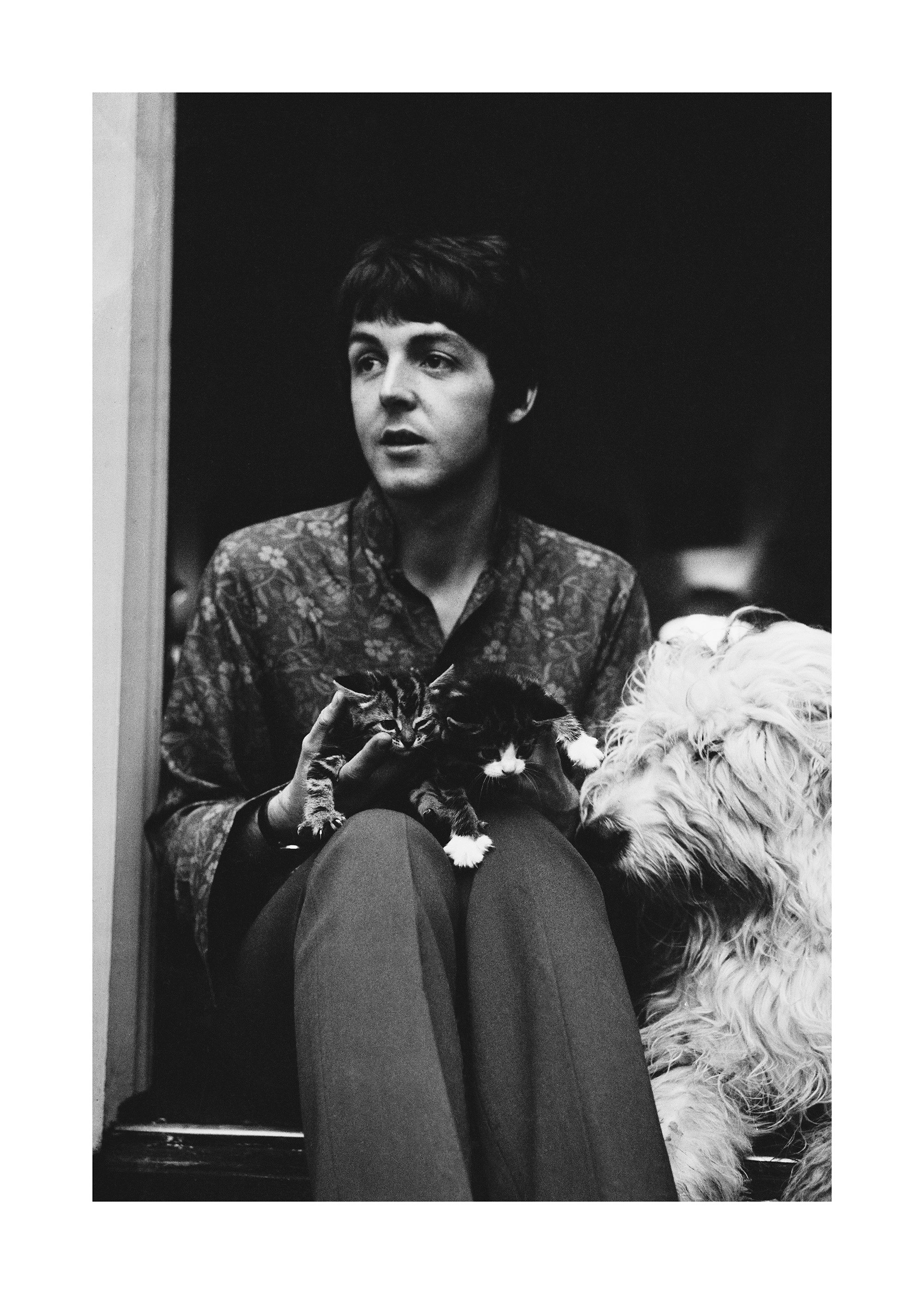 Paul McCartney with Cat and Dog Poster | Poster Store UK