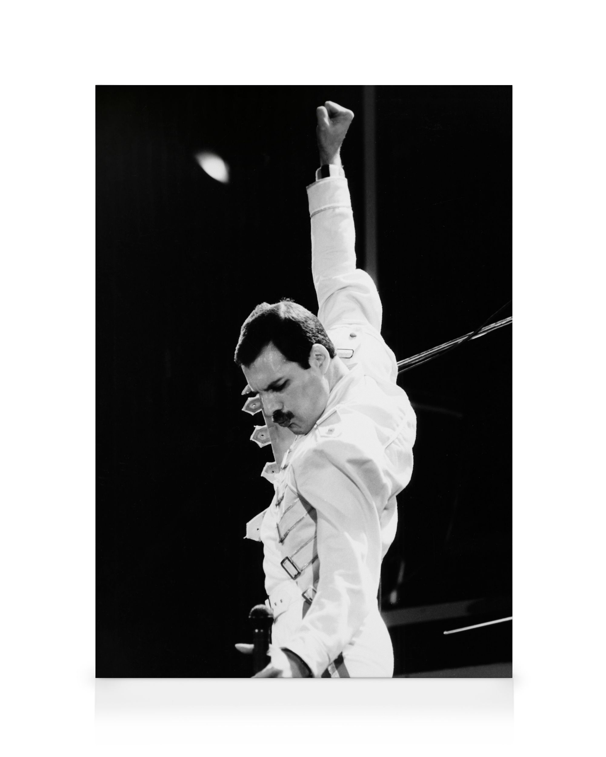 Freddie Mercury Stampa su Tela
