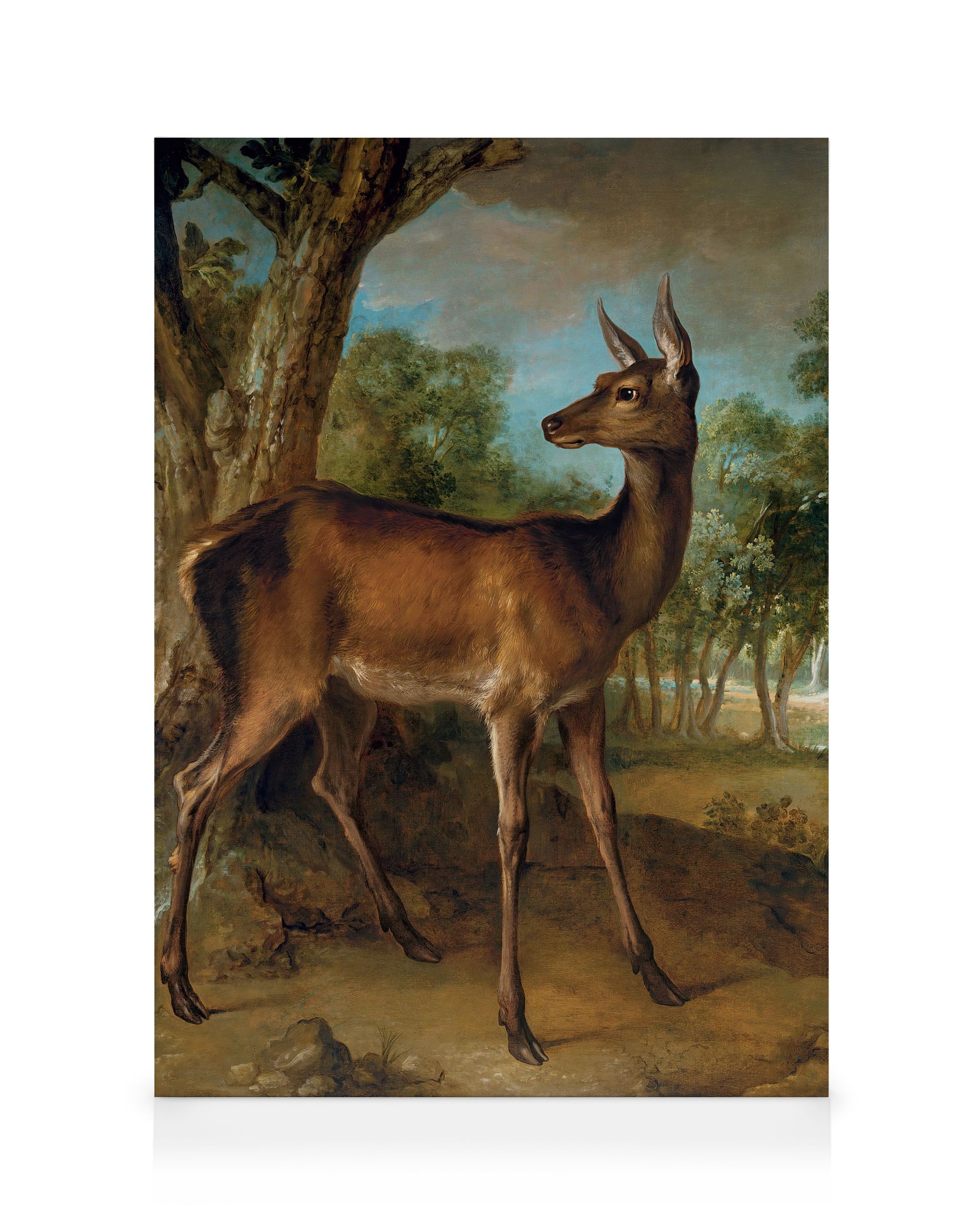 Jean-Baptiste Oudry - La Biche Vigilante Toile